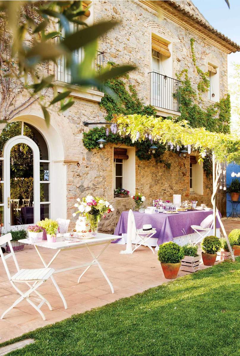 Enredaderas y plantas trepadoras para porches y terrazas