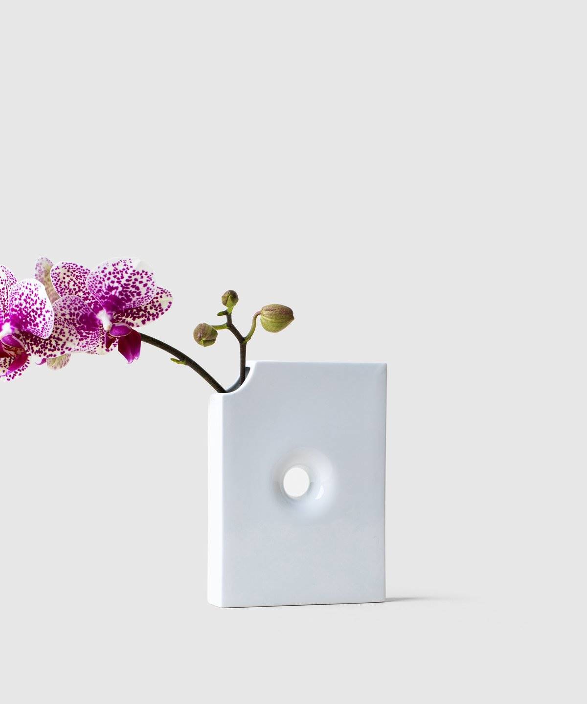 Los objetos más raros de la tienda online de Marie Kondo