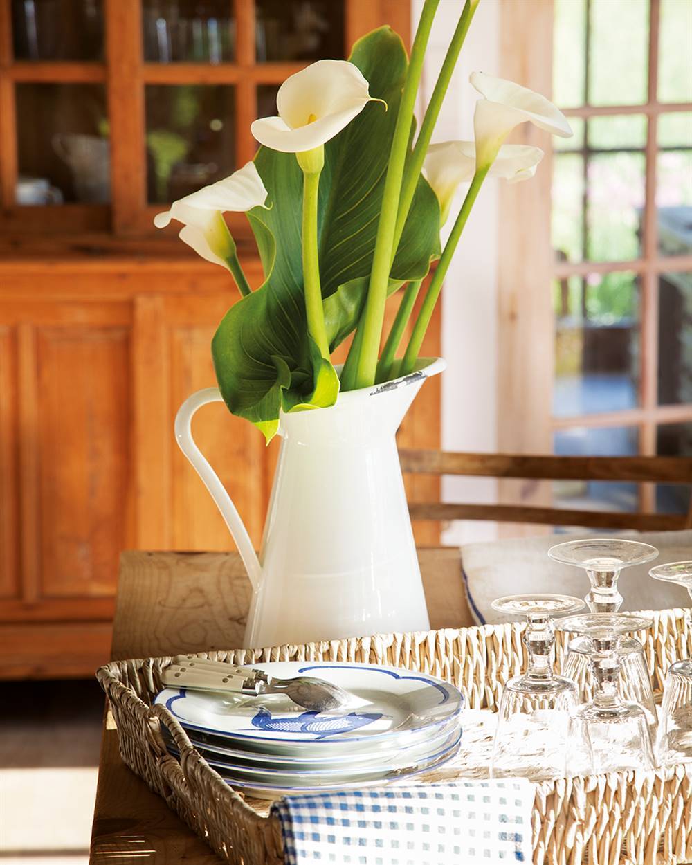 12 plantas de sombra: cuáles son y cómo cuidarlas