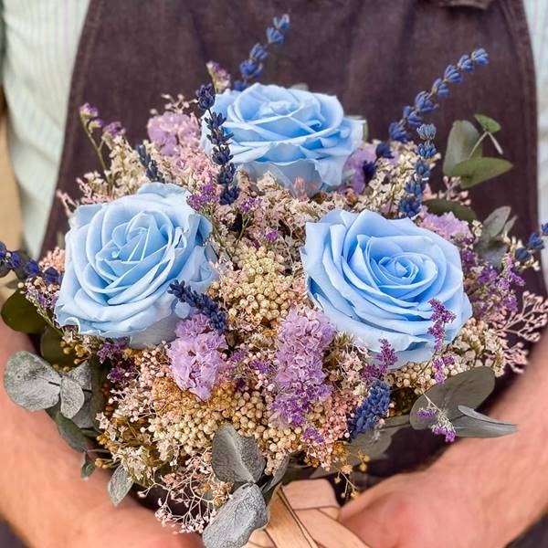 Plantas y flores ideales para decorar