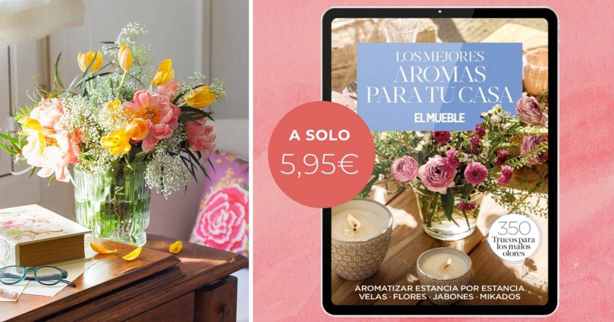 ¿Quieres que tu casa huela siempre bien y despedirte de los malos ...