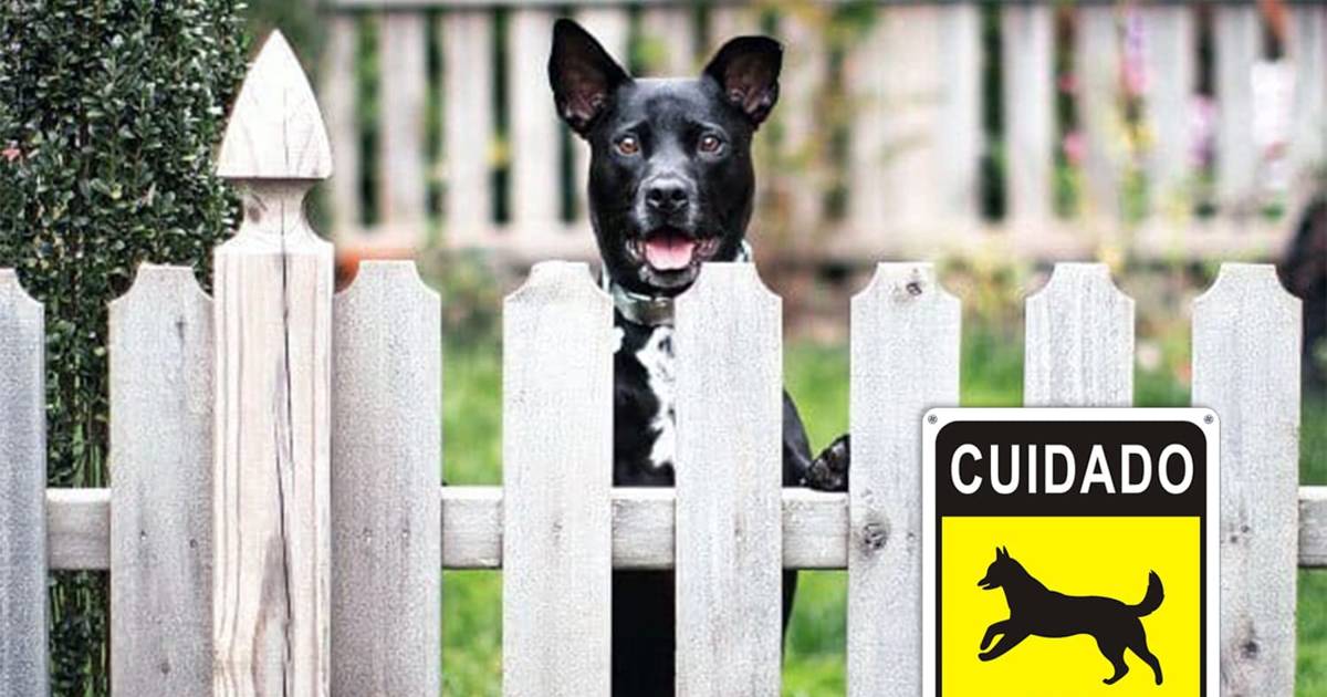 ¡Cuidado con el perro! ¿Es obligatorio poner el cartel en España?