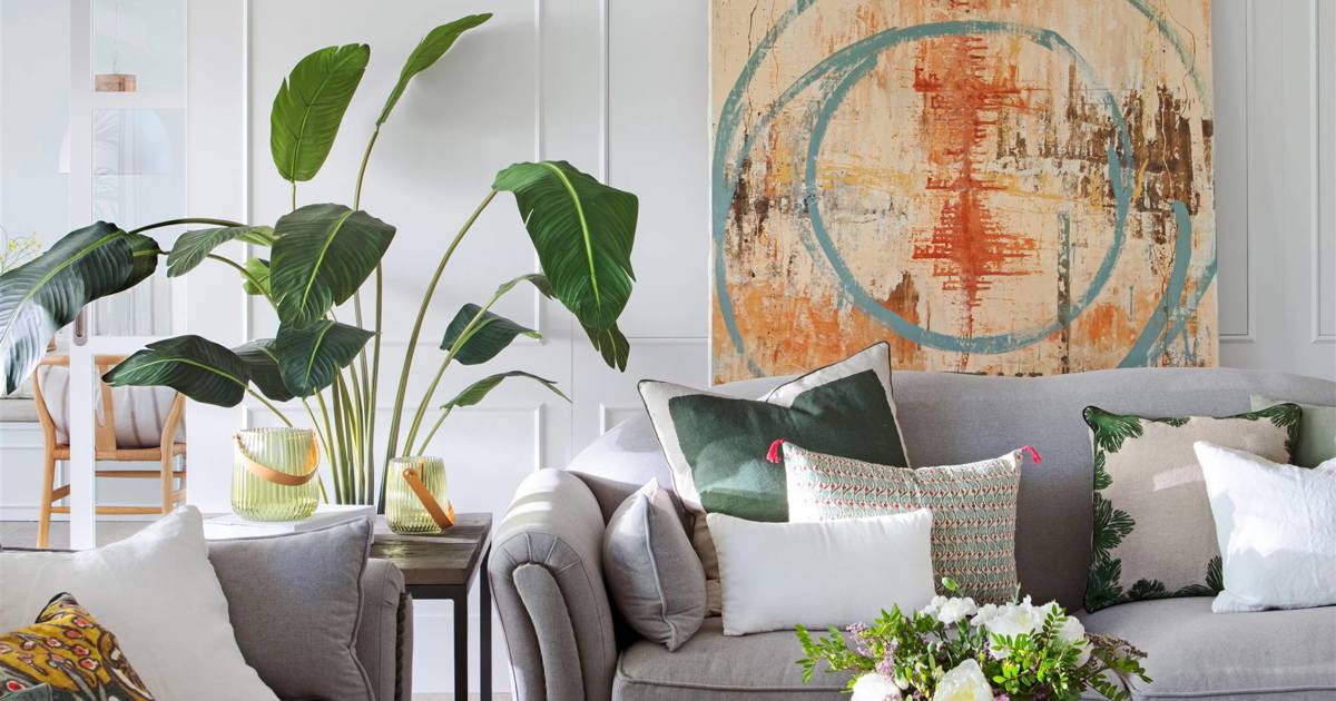 Plantas de hojas grandes de interior y exterior: nombres y fotos