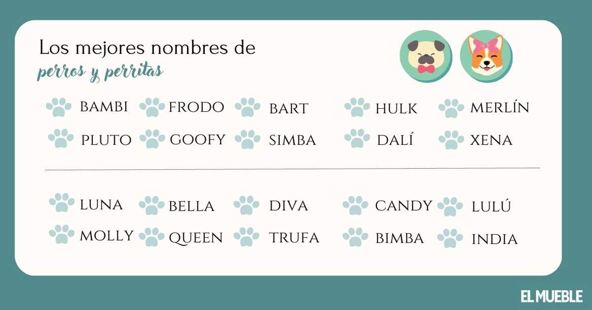 675 nombres para perros machos y perritas (bonitos, originales e ...