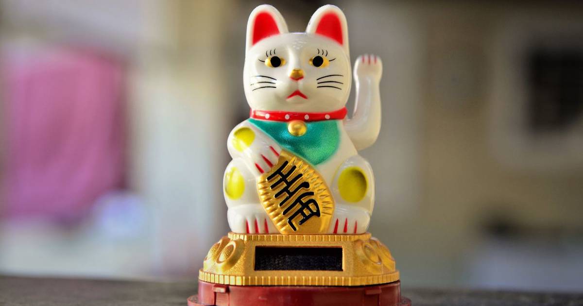 Maneki Neko: el gato de la SUERTE japonés más famoso del mundo que ...
