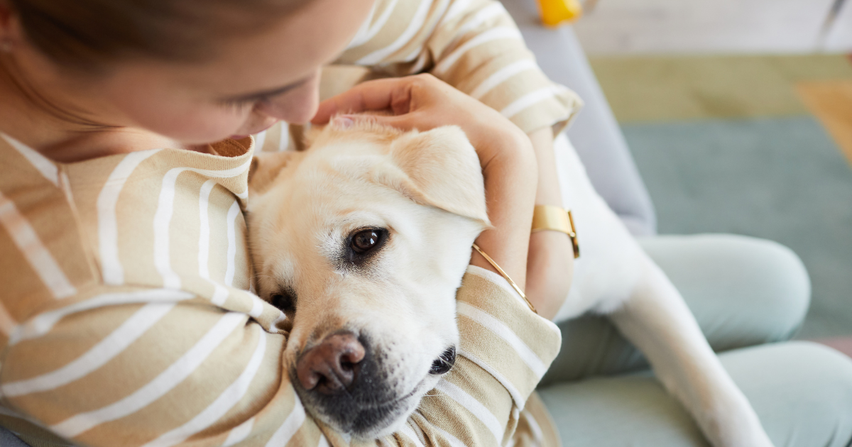 Que Significa Cuando Tu Perro Te Pone El Brazo Encima