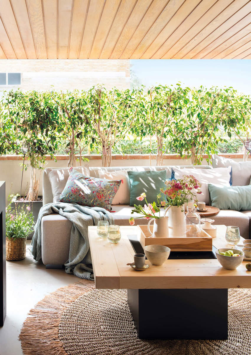 Ni toldos ni sombrillas: 6 ideas muy ingeniosas para tener sombra en tu ...