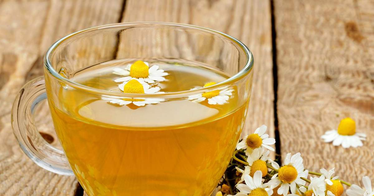 ¿Qué pasa si tomas manzanilla todos los días?: revelamos con qué ...