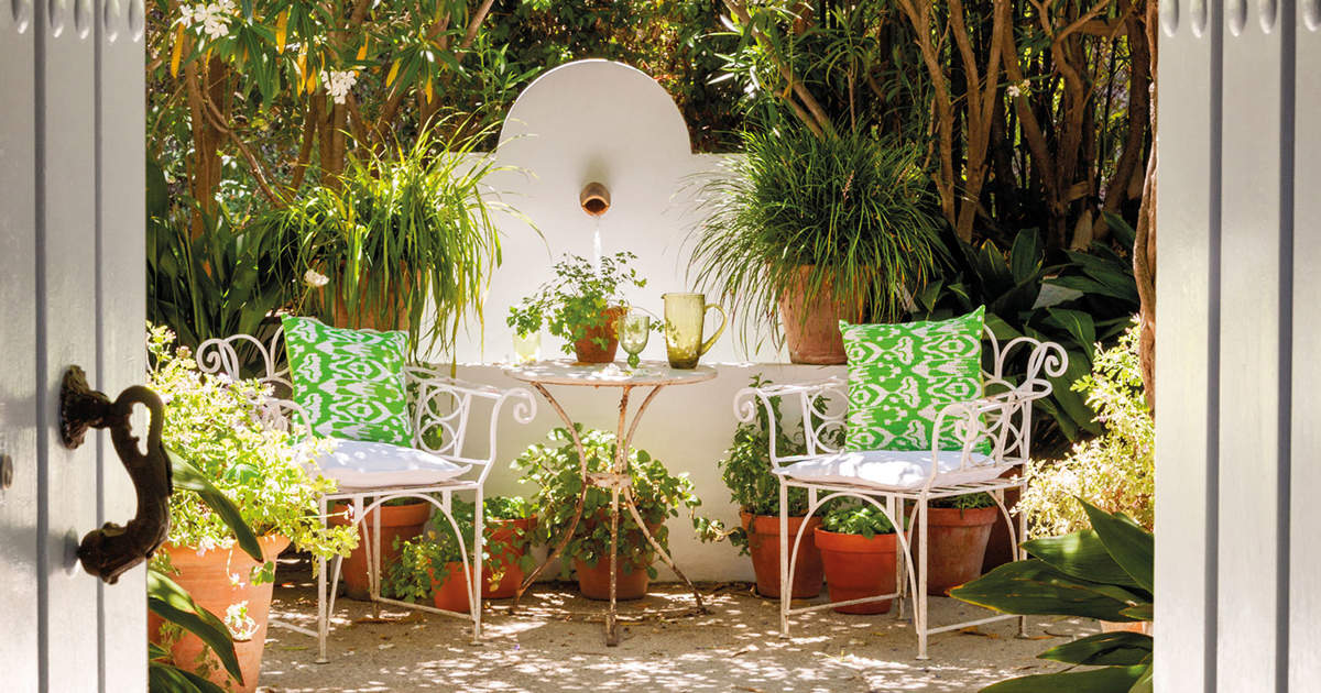 Plantas para el patio que sobrevivirán este verano y llegarán ...