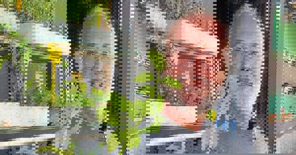 Albert Trobalón, experto en jardinería: "Si pones estas plantas ...