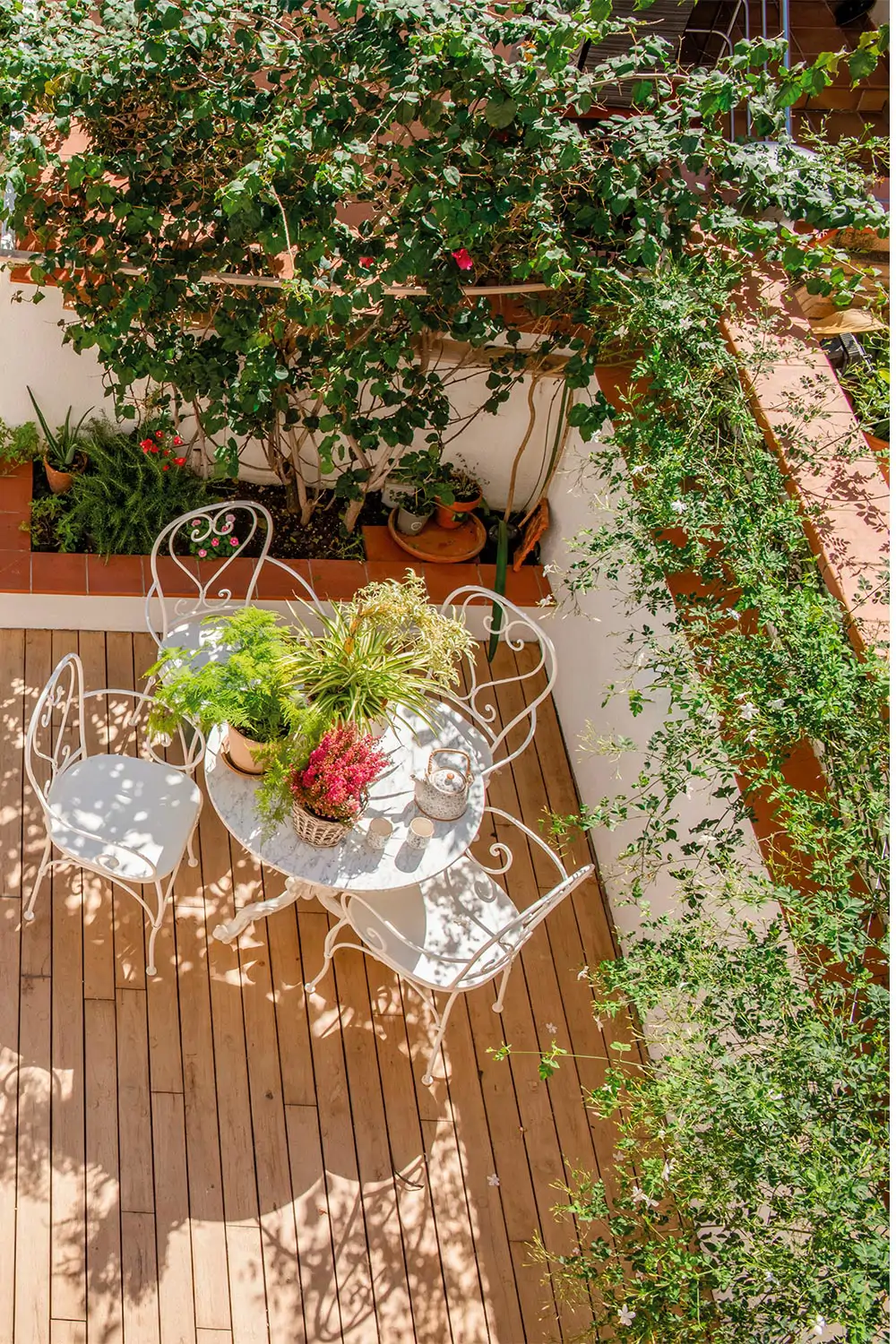 Ideas de privacidad para el patio: 13 soluciones para disfrutar del ...