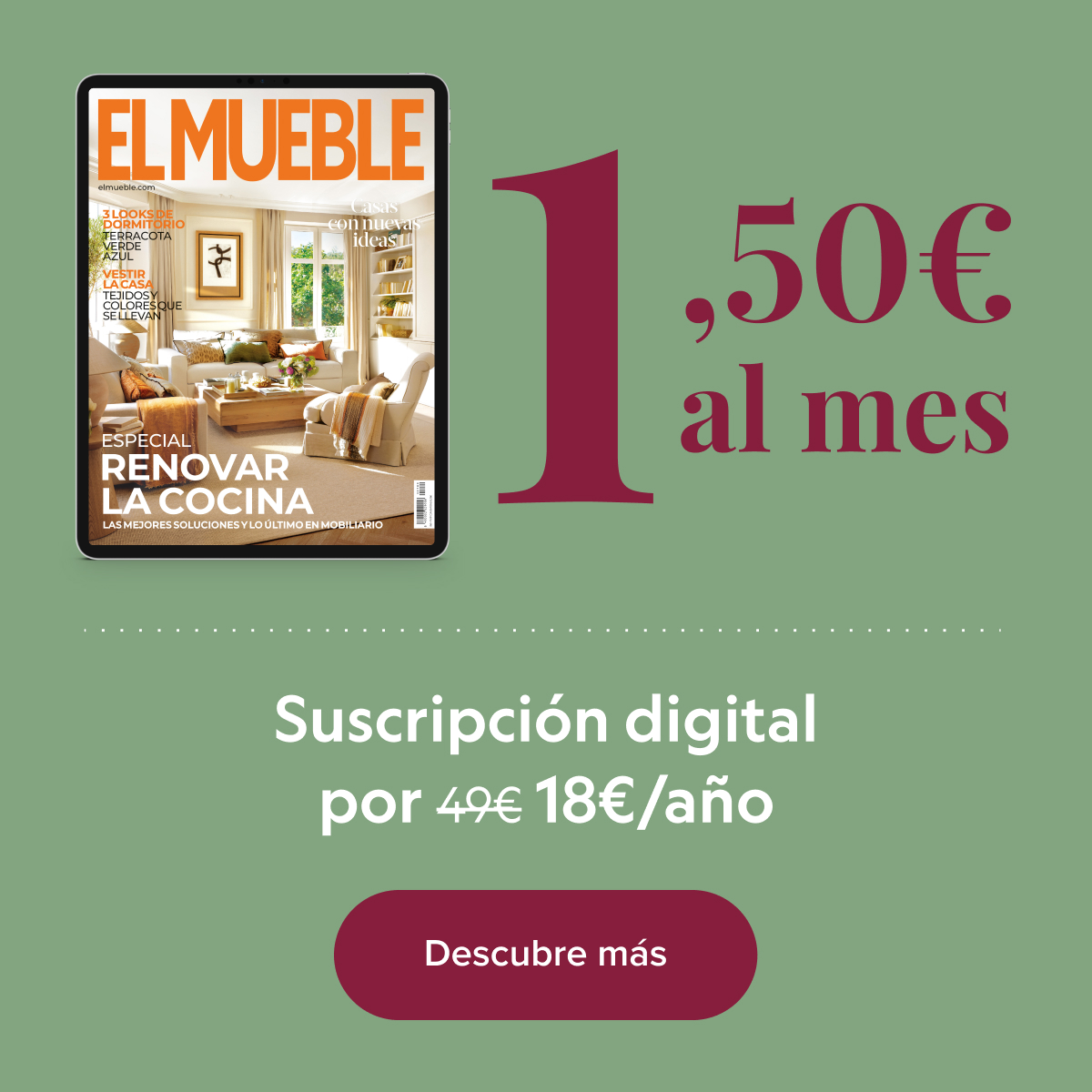 Pulgón blanco: qué es, cómo afecta a las plantas y cómo prevenirlo y ...