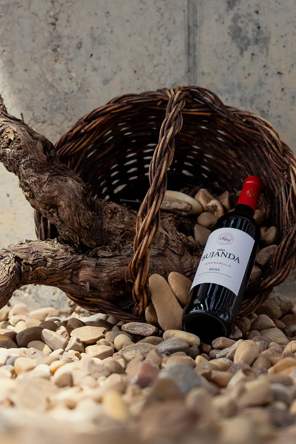 Catas en casa: cómo crear tu rincón de vinos con estilo