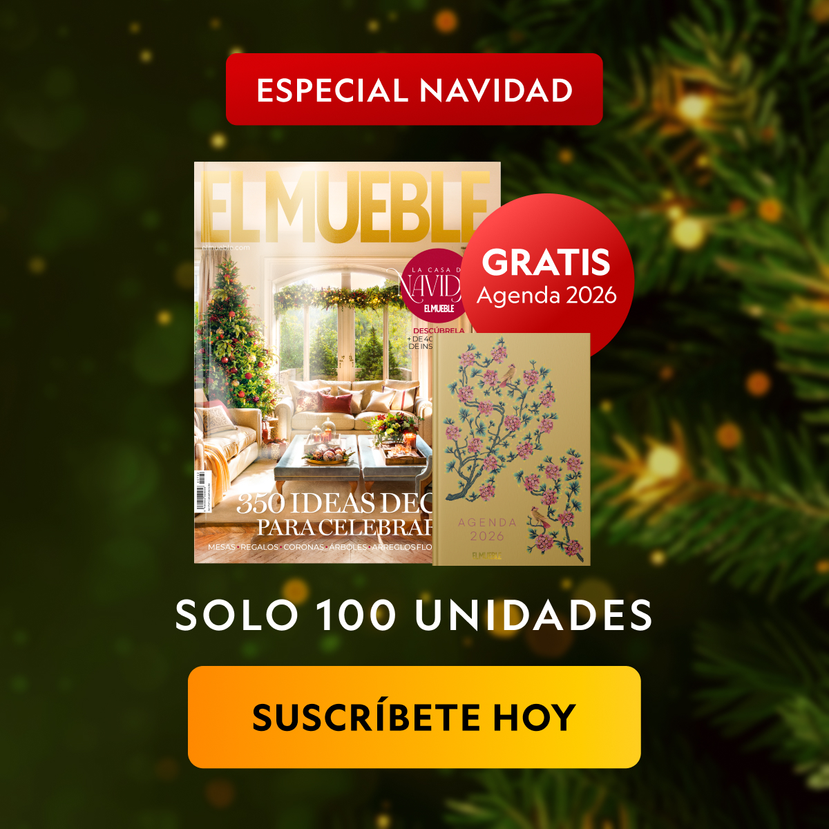 Pulgón blanco: qué es, cómo afecta a las plantas y cómo prevenirlo y ...